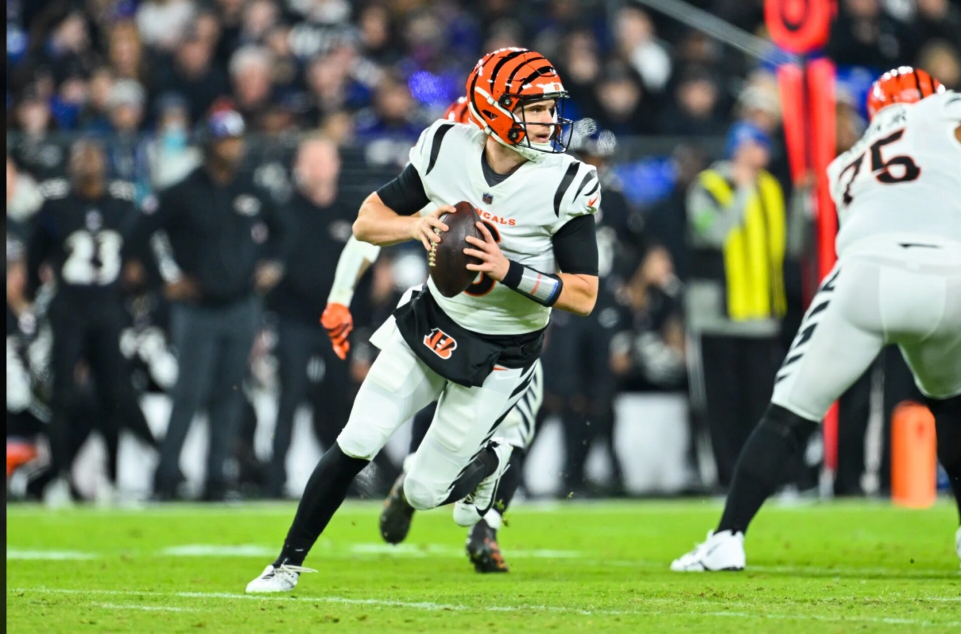 Scouting Report: Bengals, Steelers clash in NFL Week 12 - Steel City ...